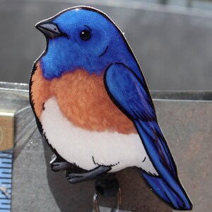 Bluebird Badge Reel Id Holder: Gift for Blue Bird Lovers Song Bird ...
