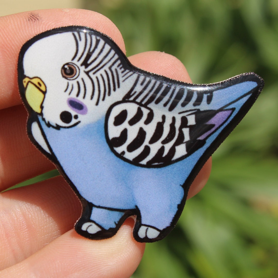 Budgie Parakeet Magnet: Gift for Bird Lover, Vet Tech, Veterinarian ...