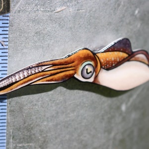 Squid Magnet: Gift for Squid Lovers or Scuba Divers Cute Ocean Animal ...