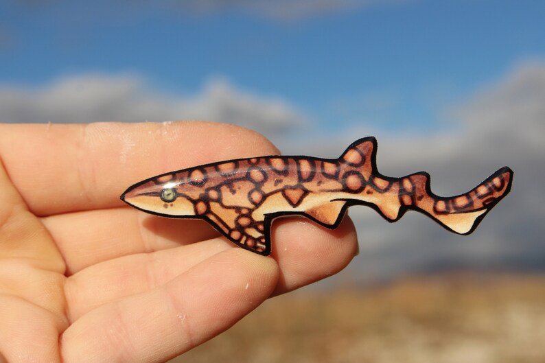 Shark Magnet: Gift for Shark Lovers Fishers Scuba Divers - Etsy