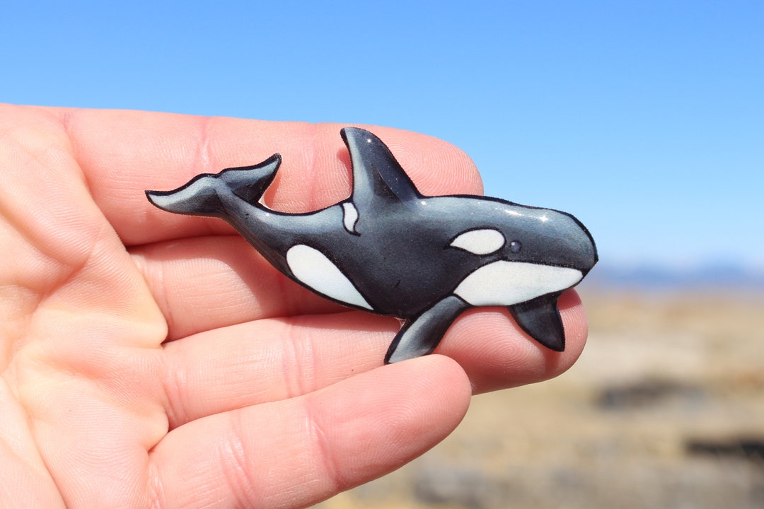 Orca Magnet: Gift for Whale Lovers, Vet Techs, Zookeepers, Veterinarian ...