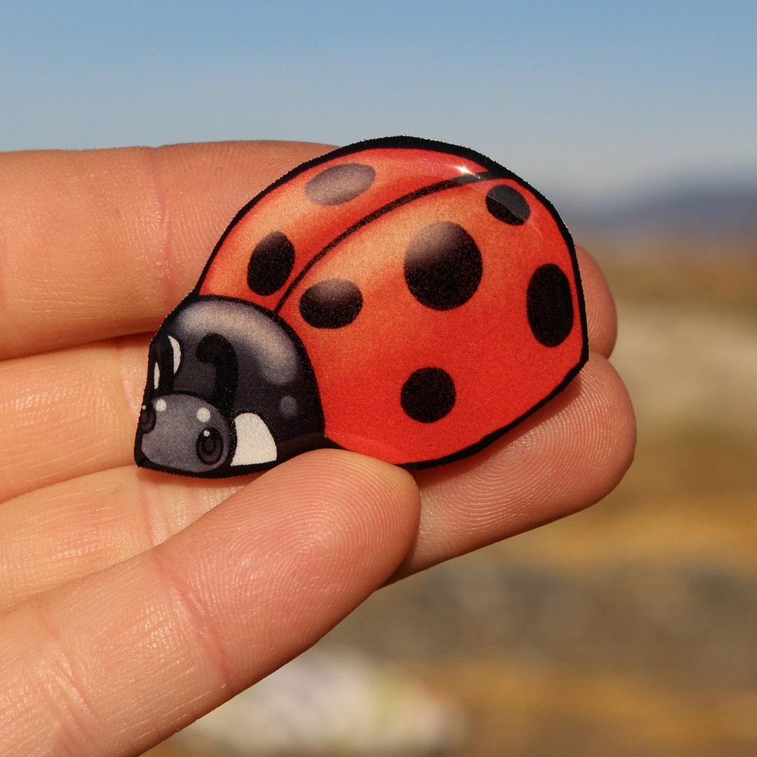 Ladybug Magnet: Gift for Bug Lovers Cute Bug Animal Magnets for Locker ...