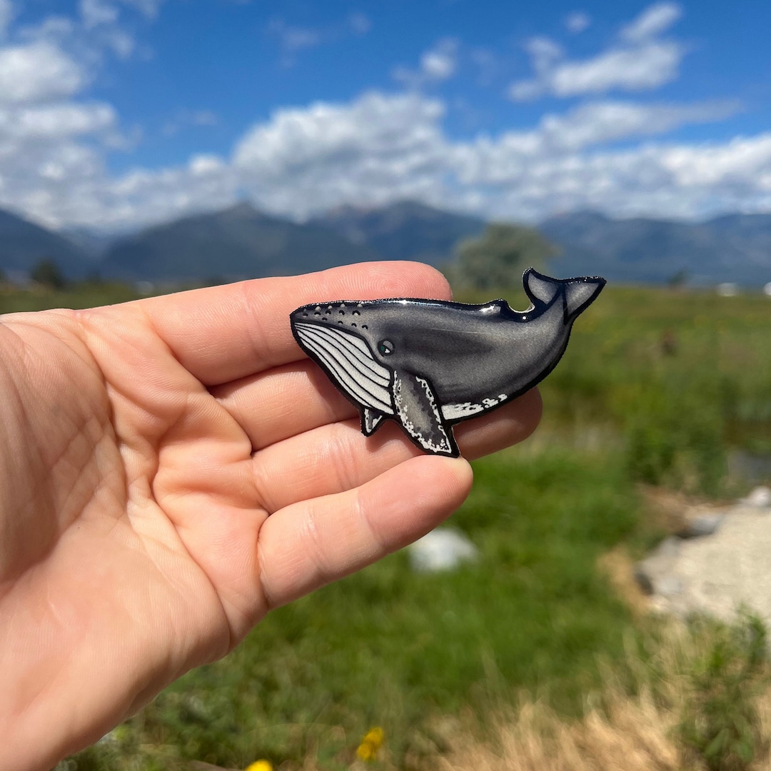 Fridge Humpback Whale Magnet: Gift for Ocean Scuba Diver, Vet Techs ...
