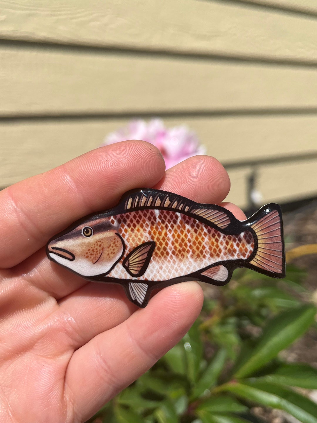 Mangrove Snapper Fish Magnet: Gift for Fisherman Women, Game Fish Gifts ...
