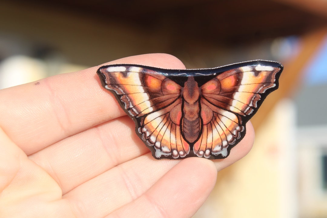 Tortoise Butterfly Magnet: Gift for Bug Lover, Gardener, Zookeeper, Vet ...