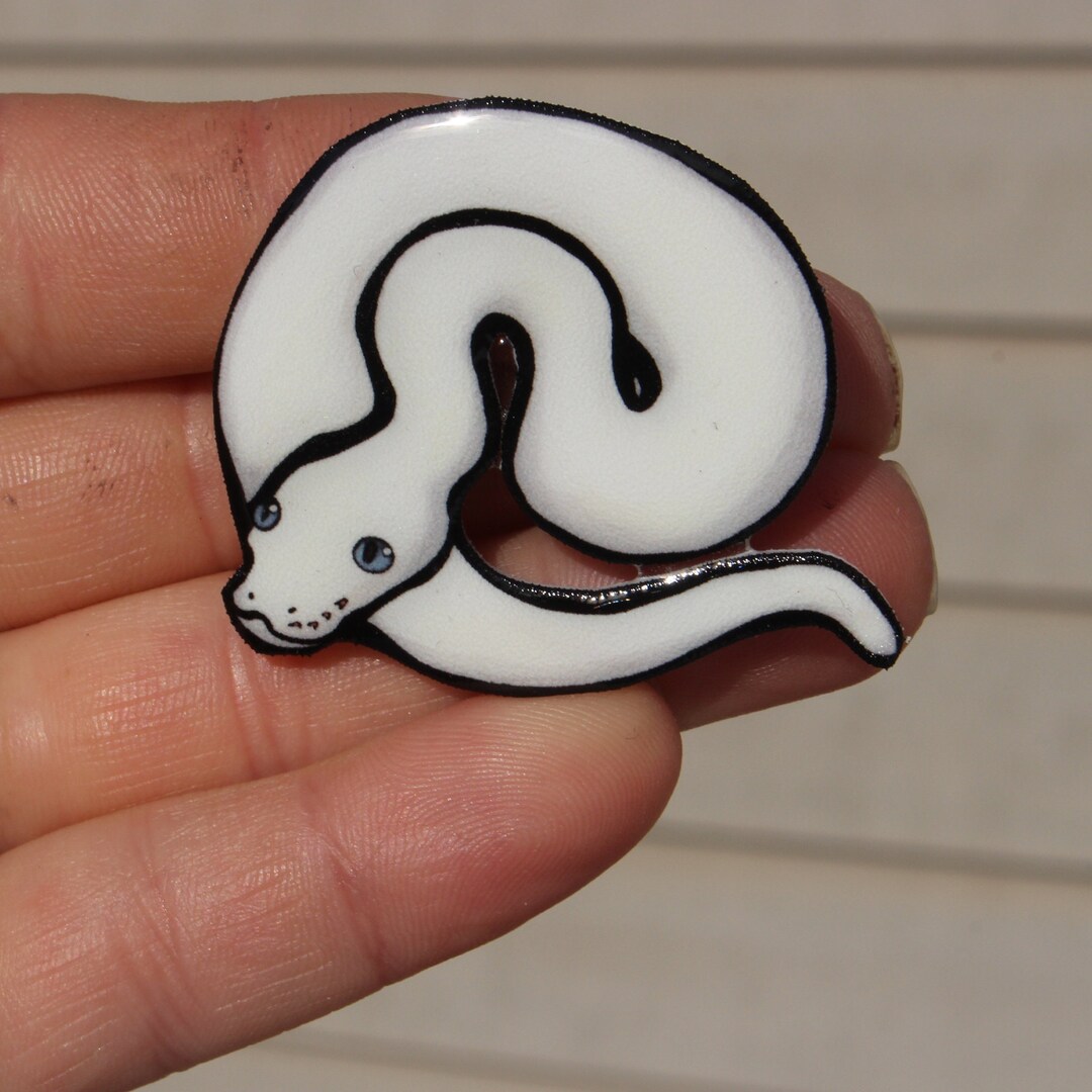 Blue Eyed Leucistic Lucy Ball Python Magnet Gift for Snake Lover or ...