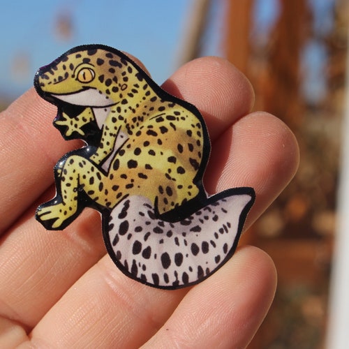 Leopard Gecko Magnet Gift for Lizard Lover for Locker or - Etsy
