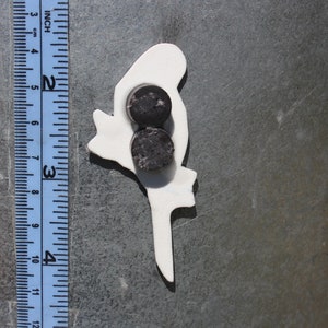 Budgie Magnet: Gift for Parakeet Bird Lovers, Vet Techs, Veterinarians ...