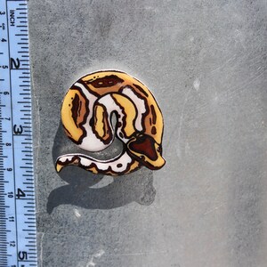 Piebald Ball Python Magnet Gift for Snake Lover or Snake Loss Memorial ...