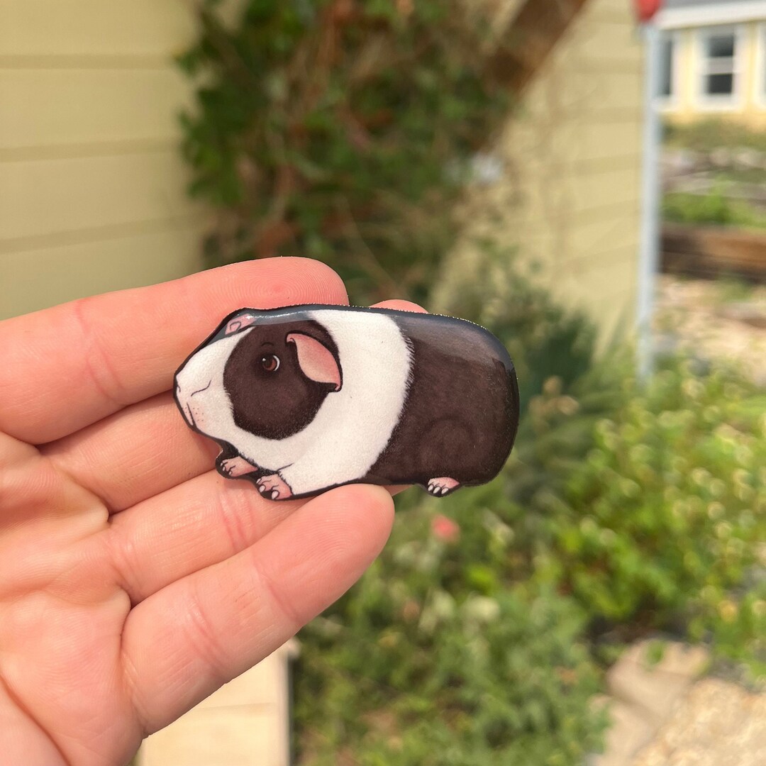 Dutch Guinea Pig Magnet: Gift for Cavi Lovers, Vet Techs, Pet Loss ...