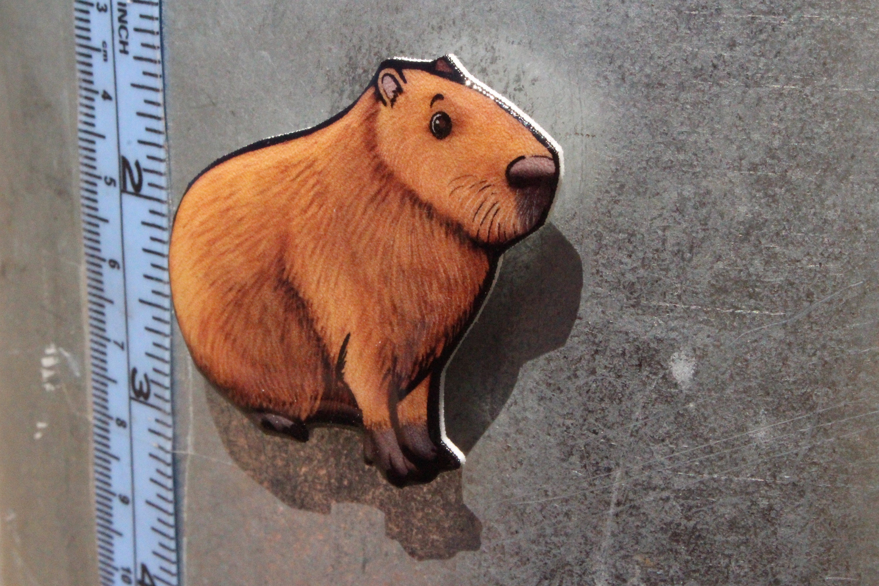 Capybara Giant Rat Magnet: Gift for Rodent Lovers Zookeepers | Etsy