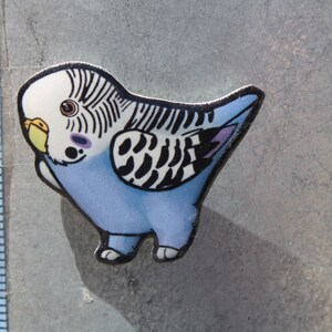 Budgie Parakeet Magnet: Gift for Bird Lover, Vet Tech, Veterinarian ...