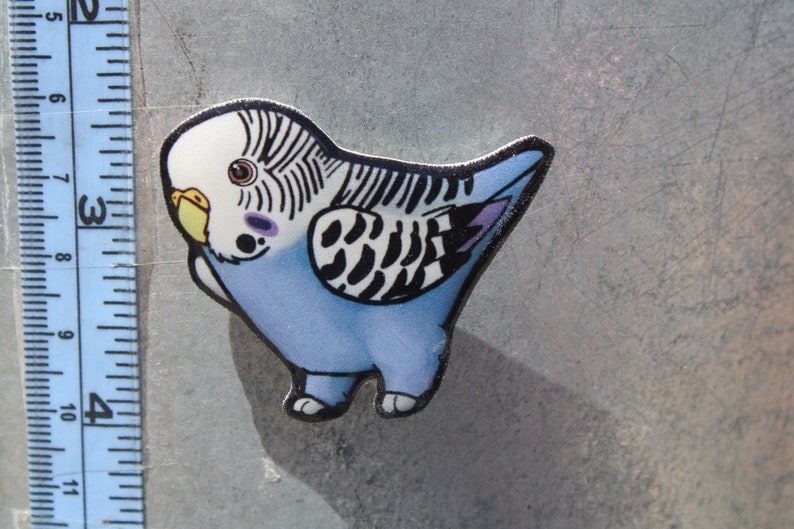 Budgie Parakeet Magnet: Gift for Bird Lover, Vet Tech, Veterinarian ...