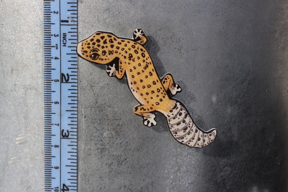 Leopard Gecko Magnet: Gift for Gecko Lizard Lovers or Gecko | Etsy
