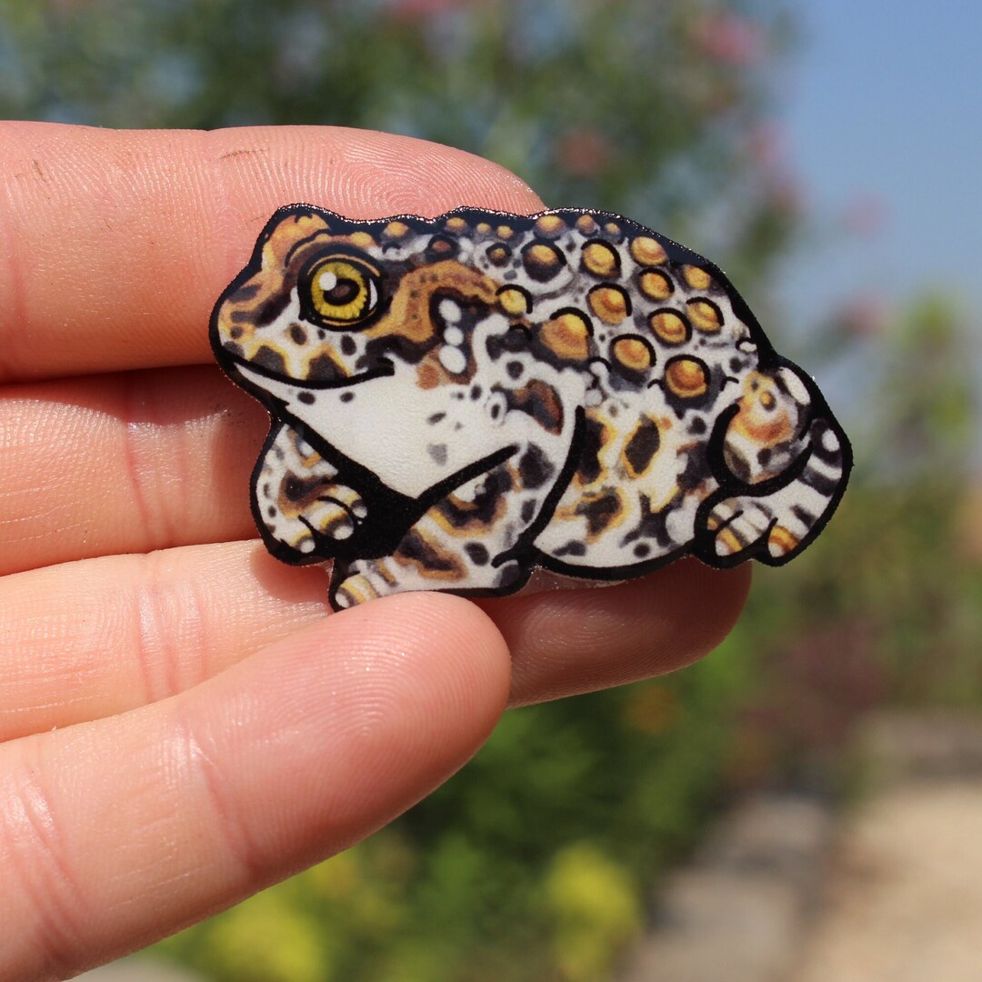 Yosemite Toad Magnet: Gift for Frog Lovers, Vet Techs, Veterinarians ...