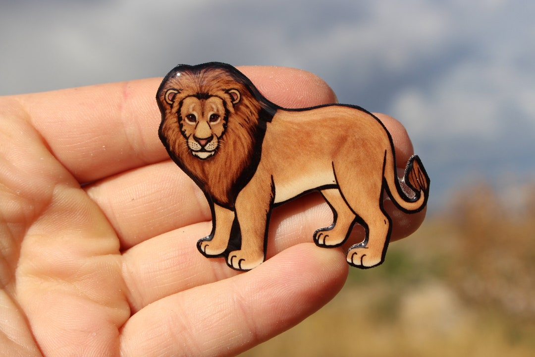 Lion Magnet: Gift for Cat Lover,vett Ech, Veterianrian, Teacher ...