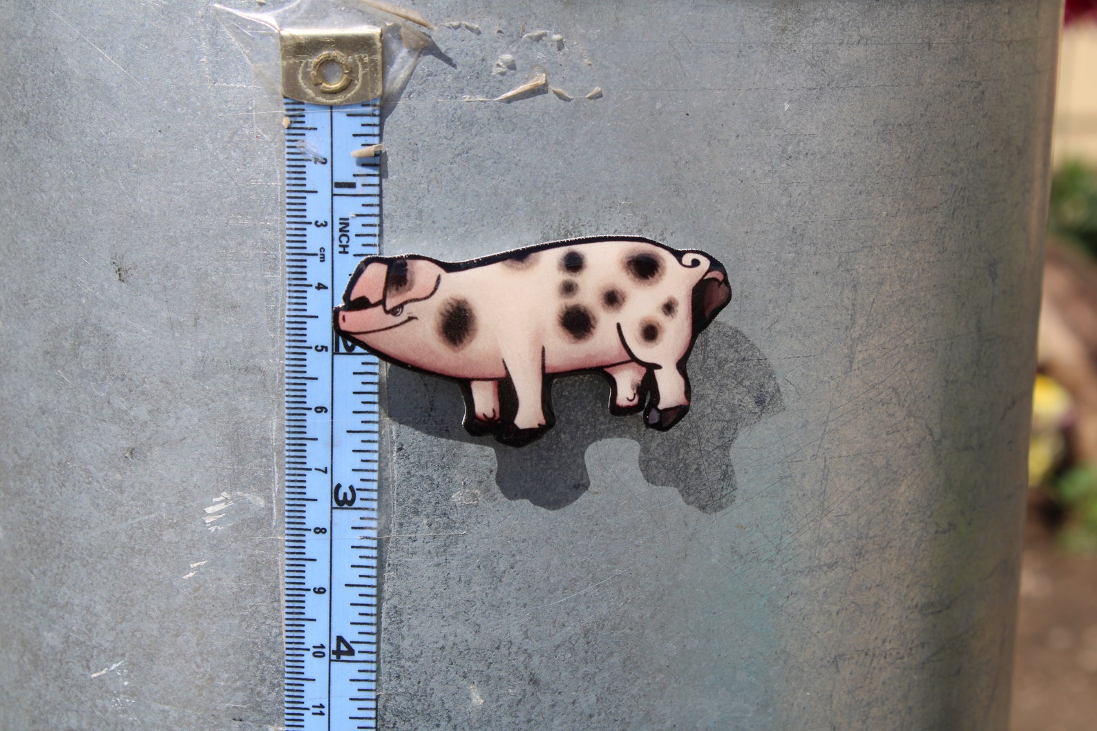 Pig Magnet Gloucestershire Old Spots Breed : Gift for Vet Tech ...