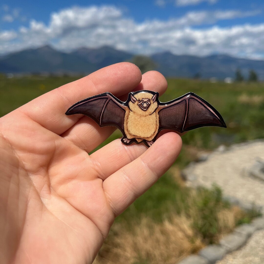 Fridge Bat Magnets: Gift for Yellow Bat Lovers, Vet Techs ...