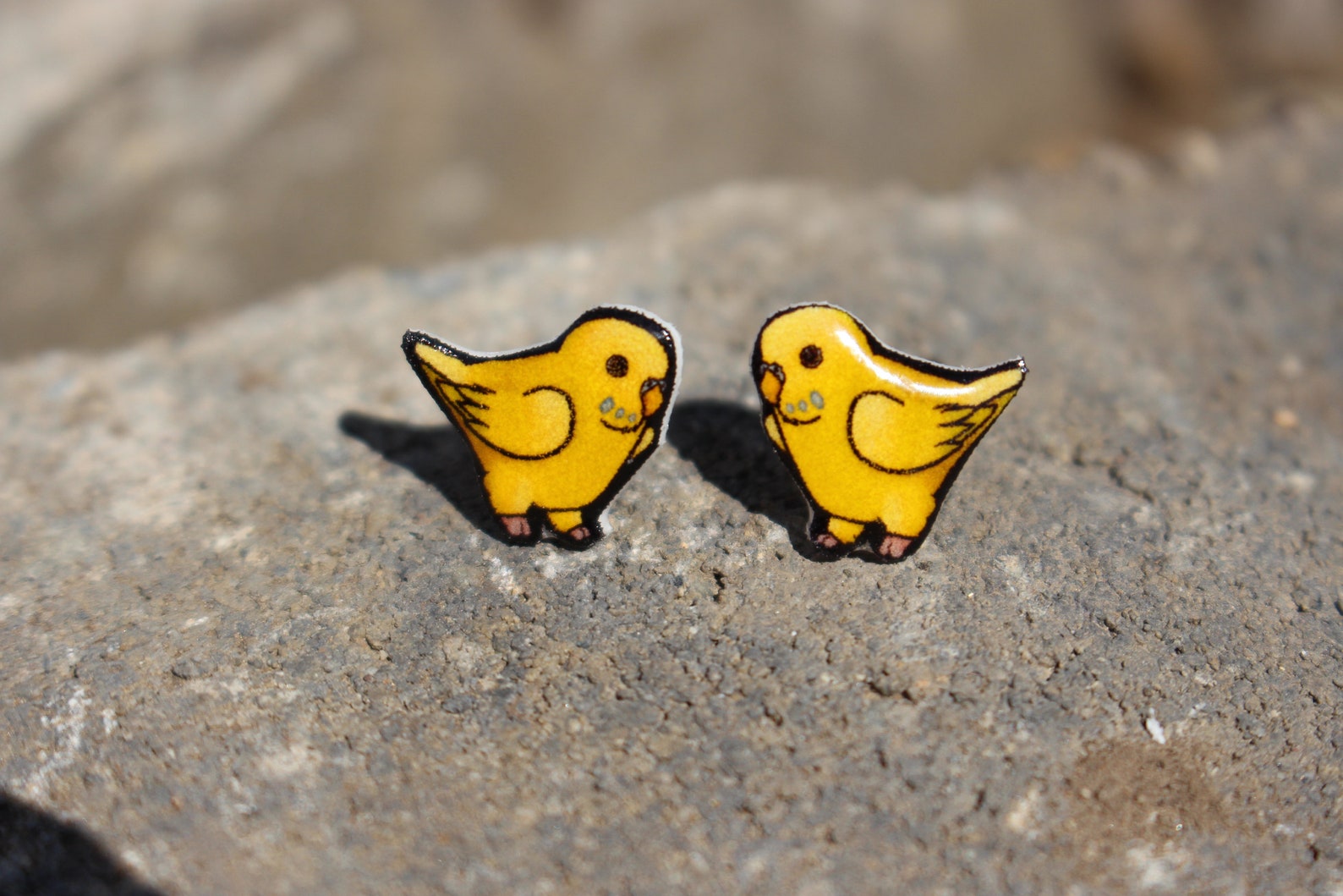 Parakeet Budgie Stud Earrings: Gift for Bird Lovers, Teacher, Vet Tech ...
