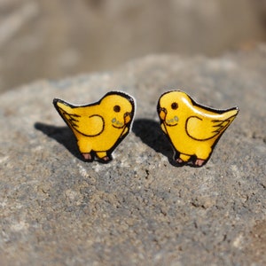 Parakeet Budgie Stud Earrings: Gift for Bird Lovers, Teacher, Vet Tech ...