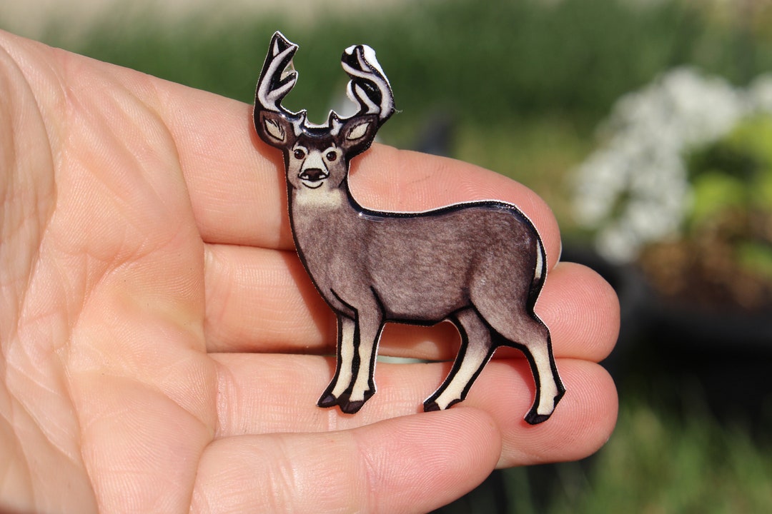 Mule Deer Magnet: Gift for Deer Lover or Hunter Woodland Prairie Animal ...