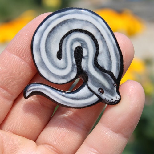 Ball Python Magnet Gift for Snake Lover Vet Tech - Etsy