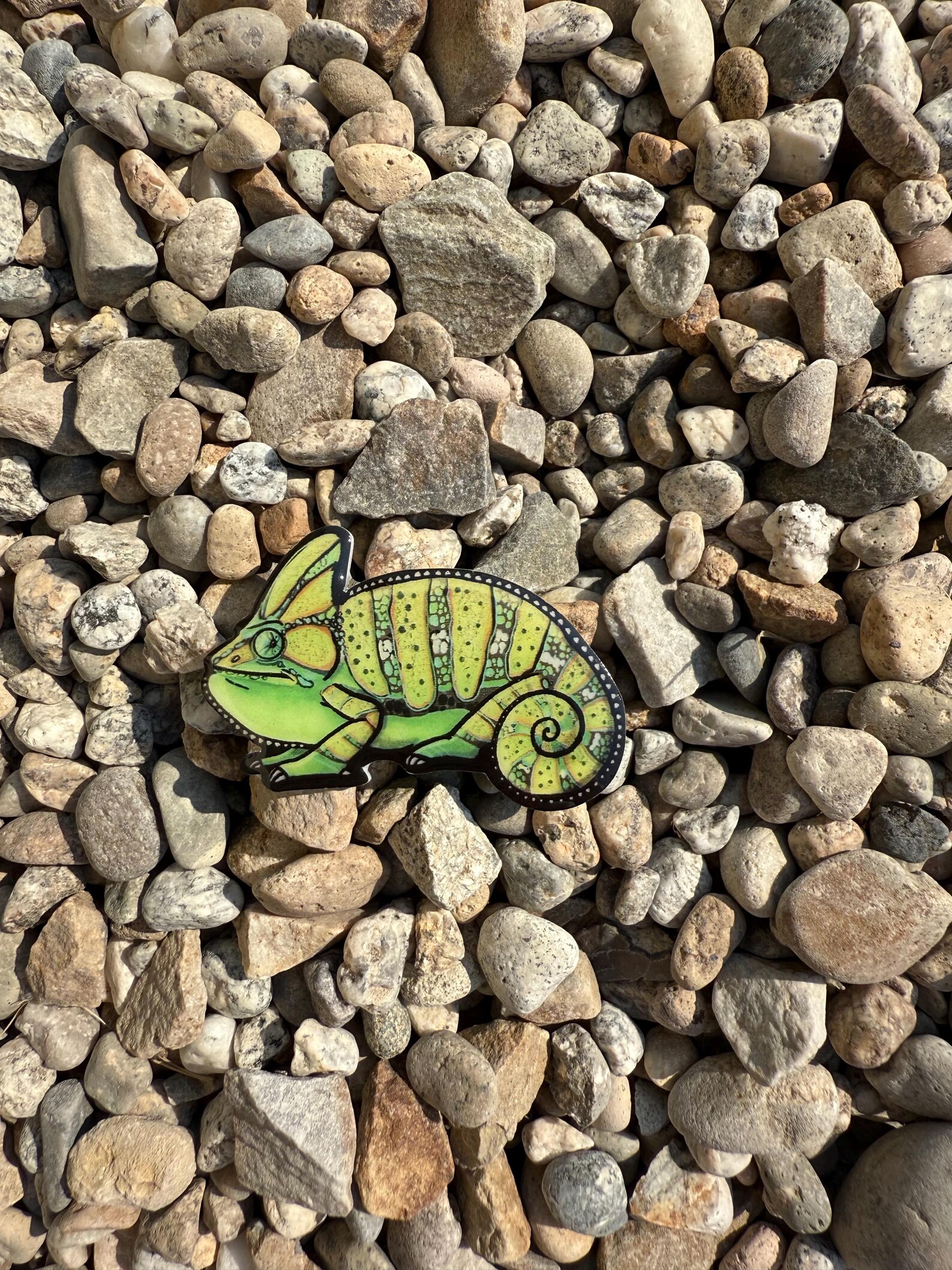 Veiled Chameleon Magnet: Gift for Lizard Lovers, Vet Techs ...