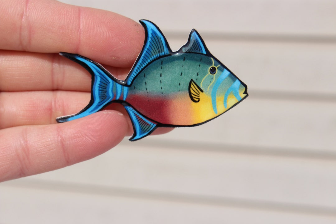 Queen Triggerfish Magnet: Gift for Scuba Diver, Fish Lover, Triggerfish Loss Memorial Cute Ocean ...