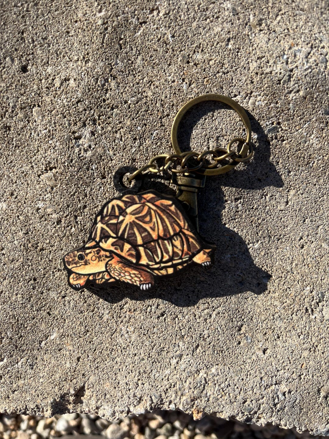 Wood Indian Star Tortoise Keychain: Gift for Turtle Animal Lovers, Vet ...