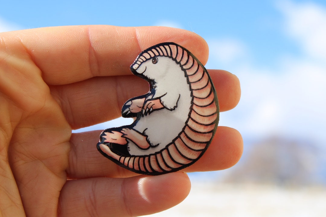 Pink Fairy Armadillo Magnet: Gift for Dillo Lovers Vet Techs - Etsy UK