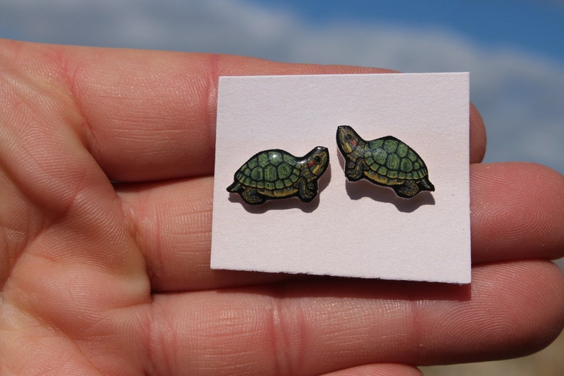 Turtle Stud Earrings: Gift for Red Ear Slider Lovers, Teacher, Vet Tech ...