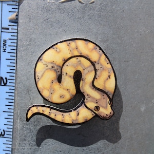 Banana Ball Python Magnet : Gift for Snake Lover, Vet Tech ...