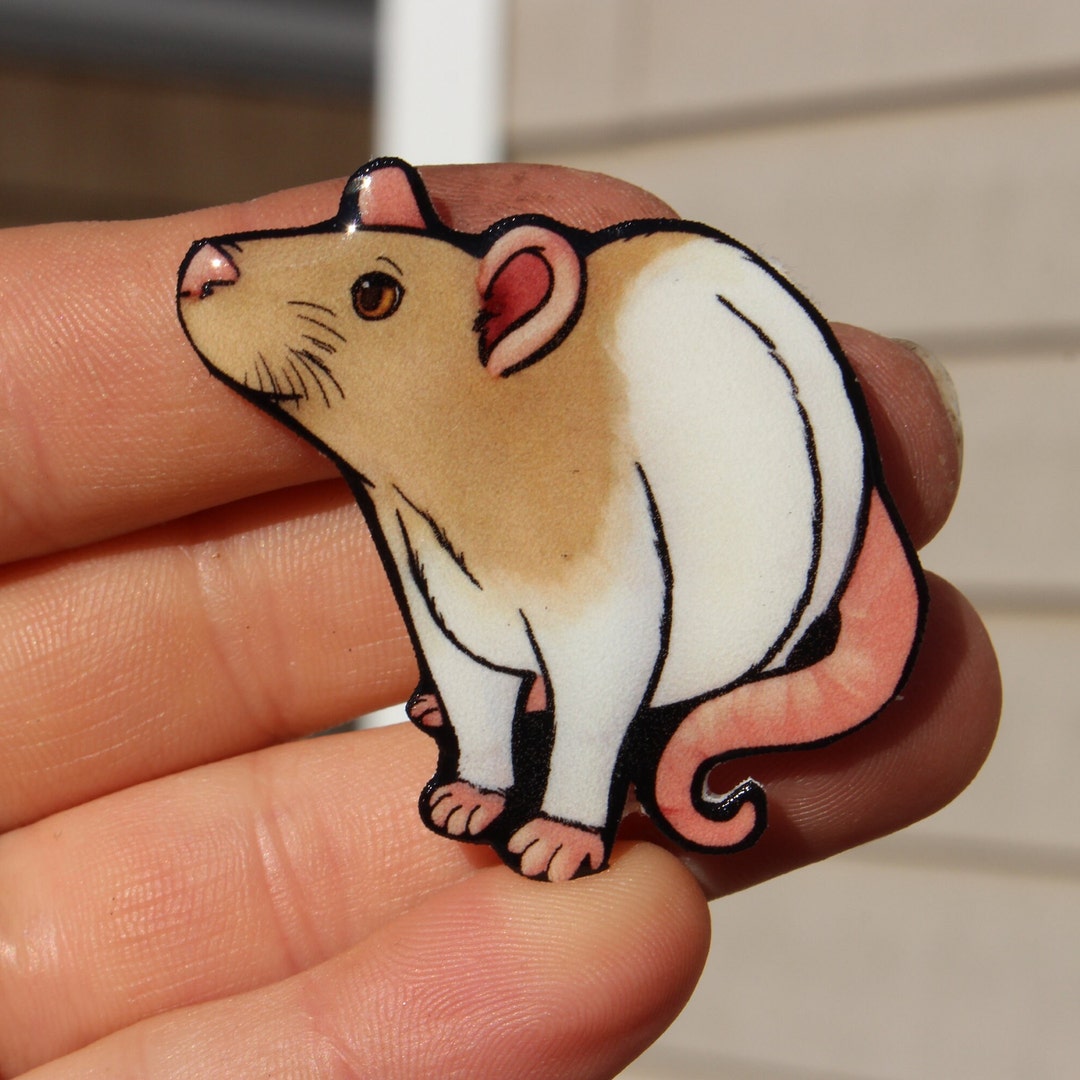 Rat Magnet: Gift for Rat Lover, Vet Techs, Veterinarians, Teachers Rat ...