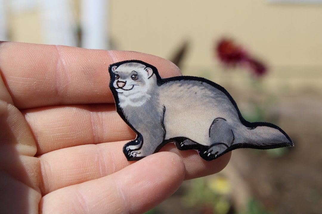 Ferret Magnet 3: Gift for Ferret Lover, Vet Techs, Veterinarian ...