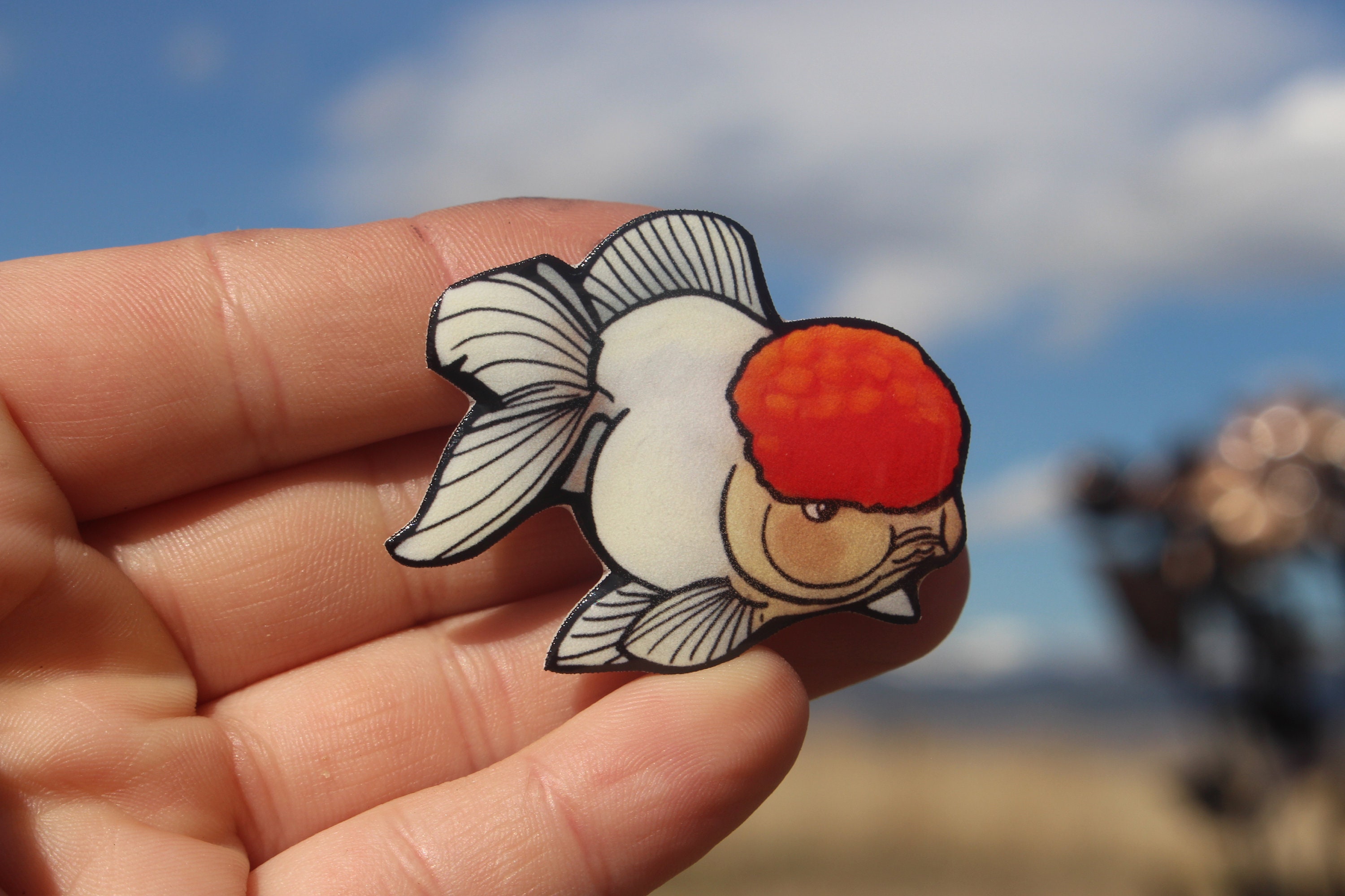 Cute Oranda Goldfish