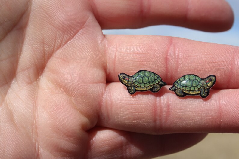 Turtle Stud Earrings: Gift for Red Ear Slider Lovers Teacher - Etsy