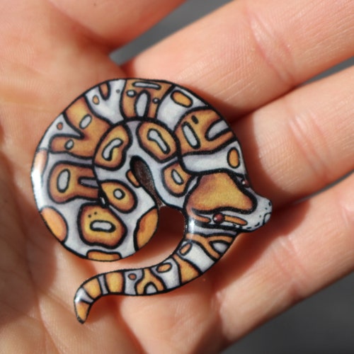 Ball Python Magnet Gift for Snake Lover Vet Tech | Etsy