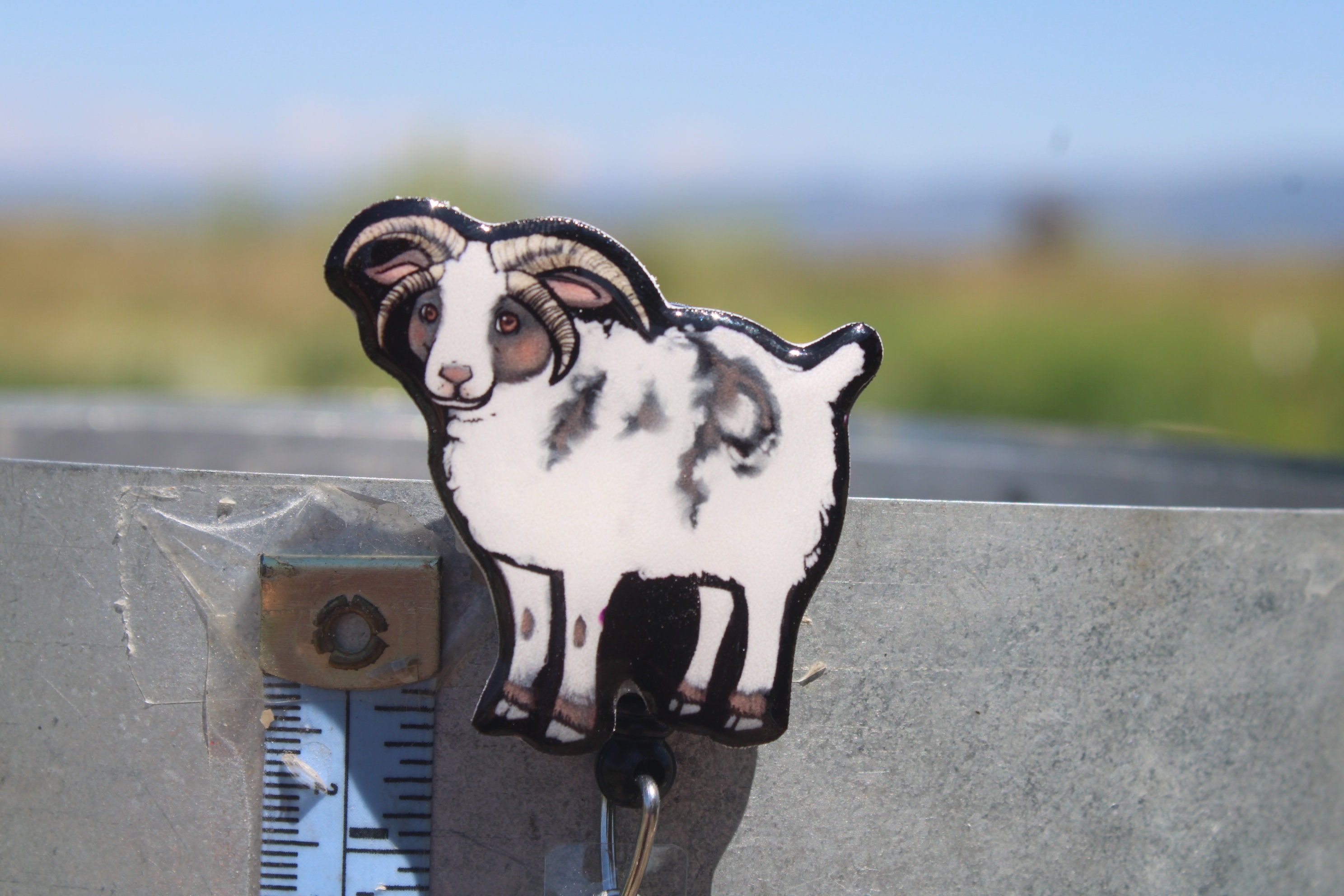 Jacobs Sheep Badge Reel ID Holder: Gift for Lamb Lover, Nurse, Vet Tech ...