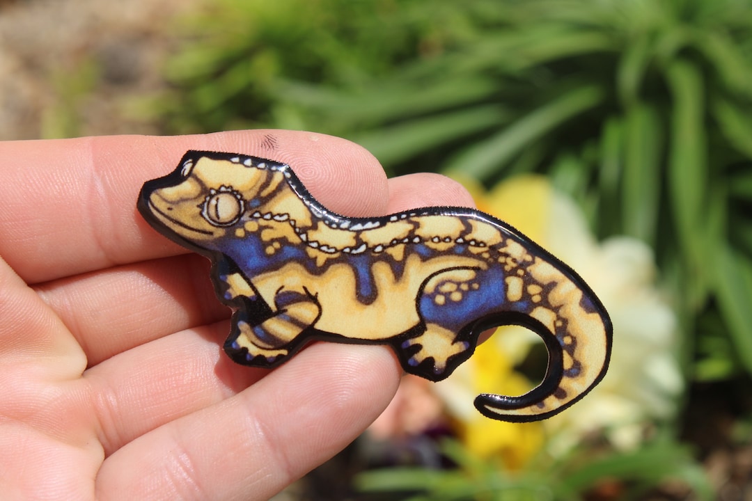 Crested Gecko Magnet: Gift for Lizard Lovers, Vet Techs, Veterinarians ...