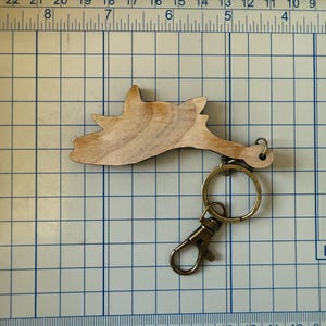 Wood Mosasaurus Dinosaur Keychain: Gift for Dino Lovers, Vet Techs ...