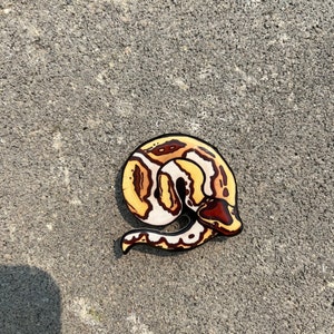 Piebald Ball Python Magnet: Gift for Snake Lover, Vet Tech ...