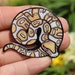 Ball Python Magnet Gift for Snake Lover, Vet Tech, Veterinarian ...