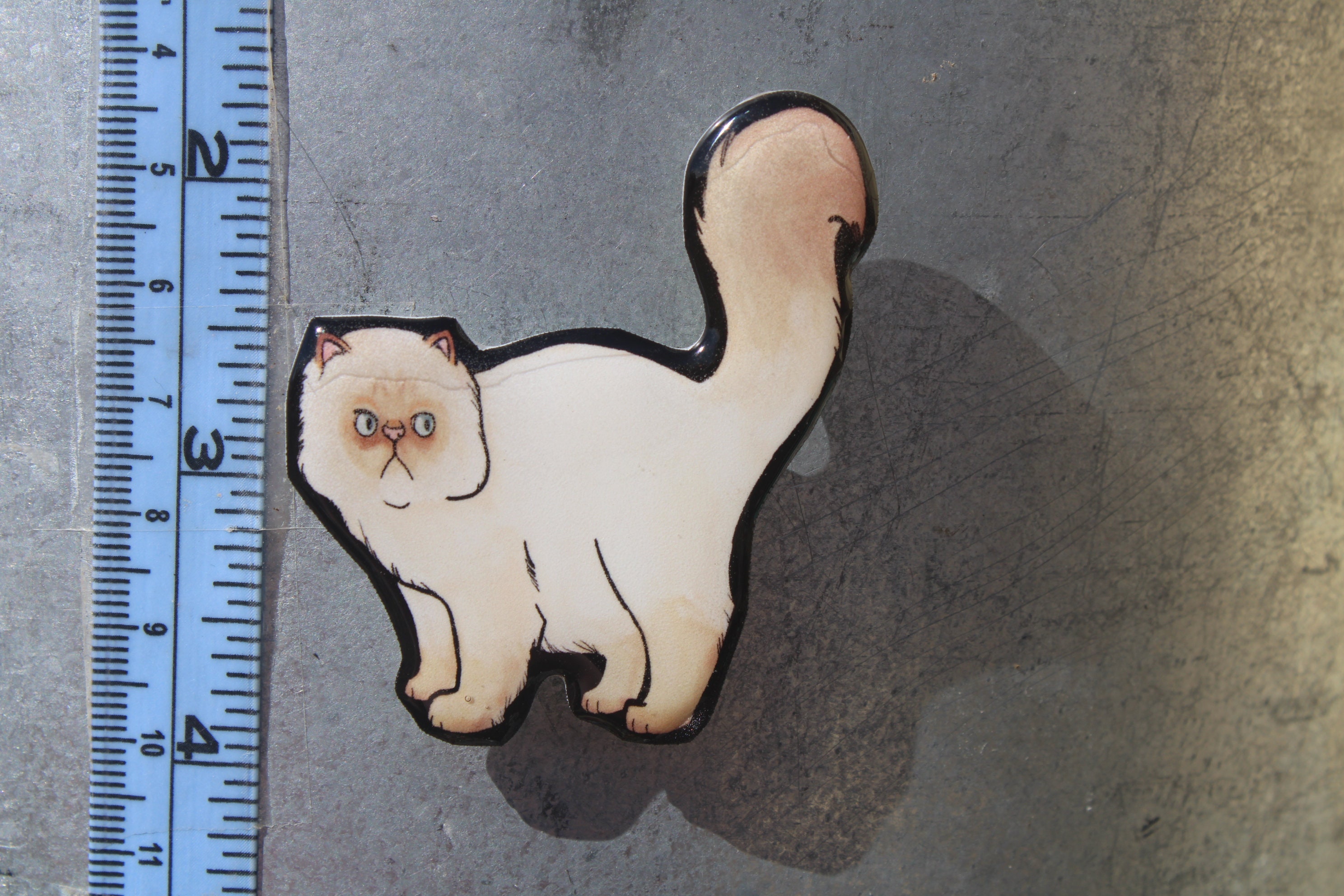 Cat Magnet: Gift for Cat Lovers, Vet Techs, Veterinarians, Zookeepers ...