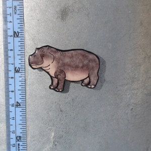 Hippo Magnet: Gift for Hippopotamus Lover, Vet Tech, Veterinarian ...