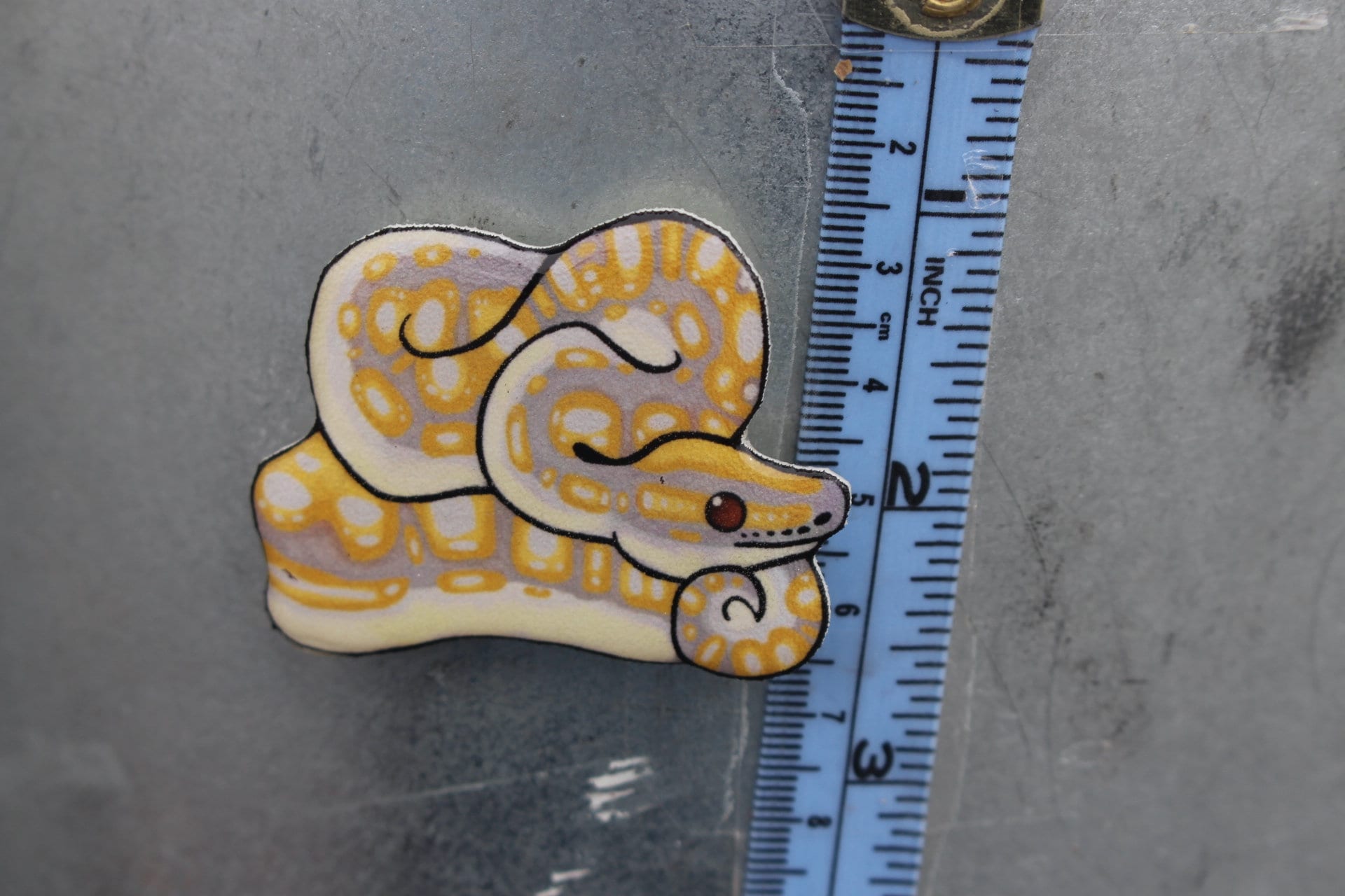 Ball Python Magnet Gift for Snake Lover or Albino Ball Python - Etsy