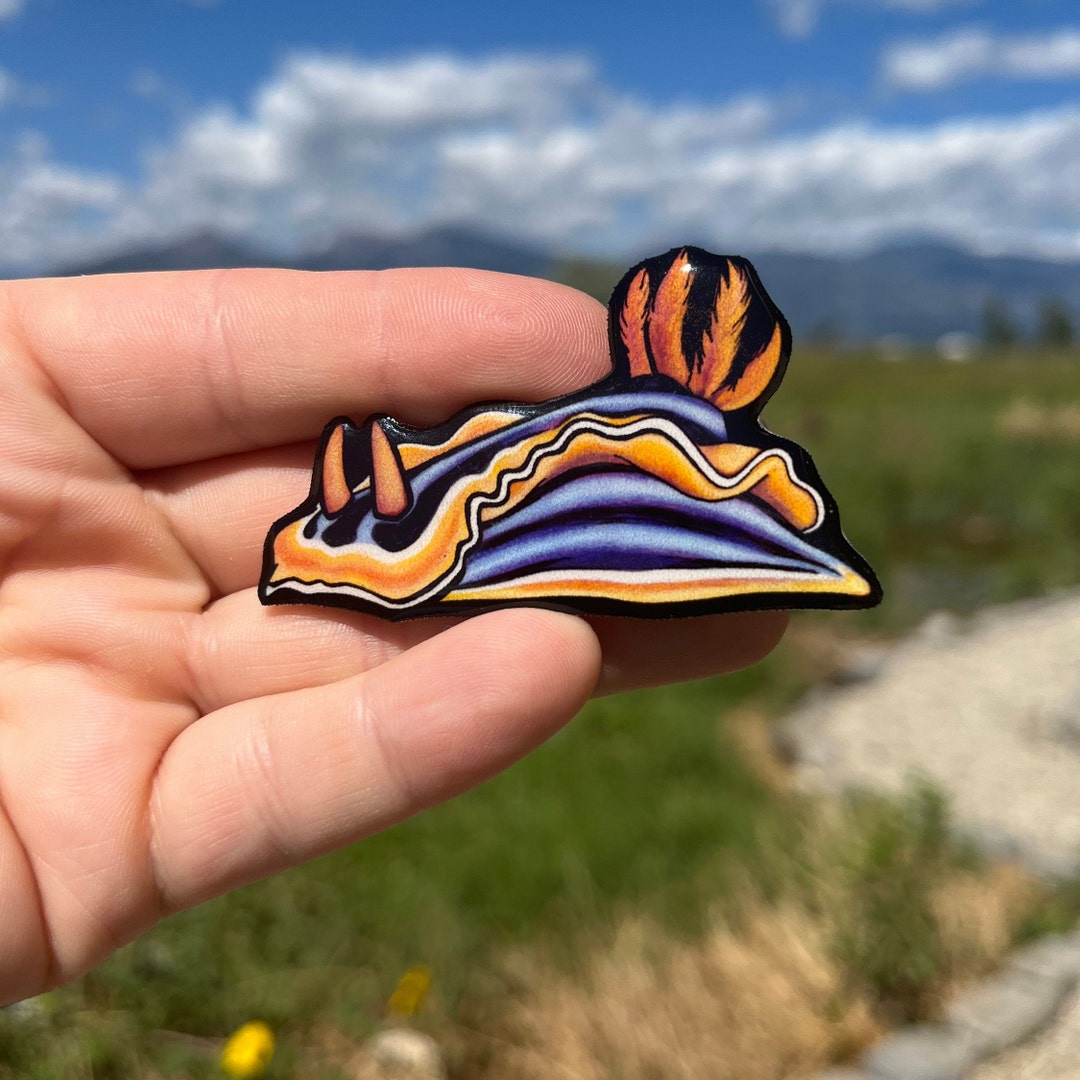 Fridge Nudibranch Sea Slug Magnet: Gift for Scuba Divers, Vet Techs ...
