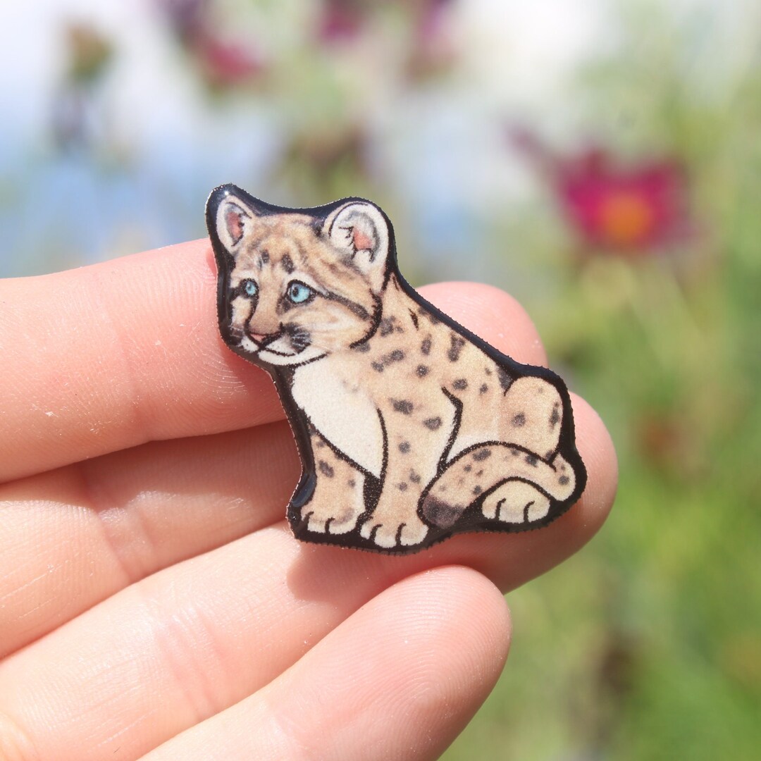 Cougar Mountain Lion Magnet: Gift for Big Cat Lovers, Vet Techs ...