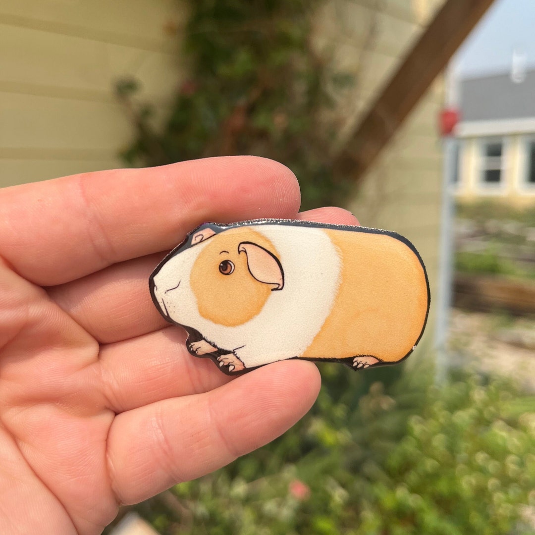 Dutch Guinea Pig Magnet: Gift for Cavi Lovers, Vet Techs, Pet Loss ...