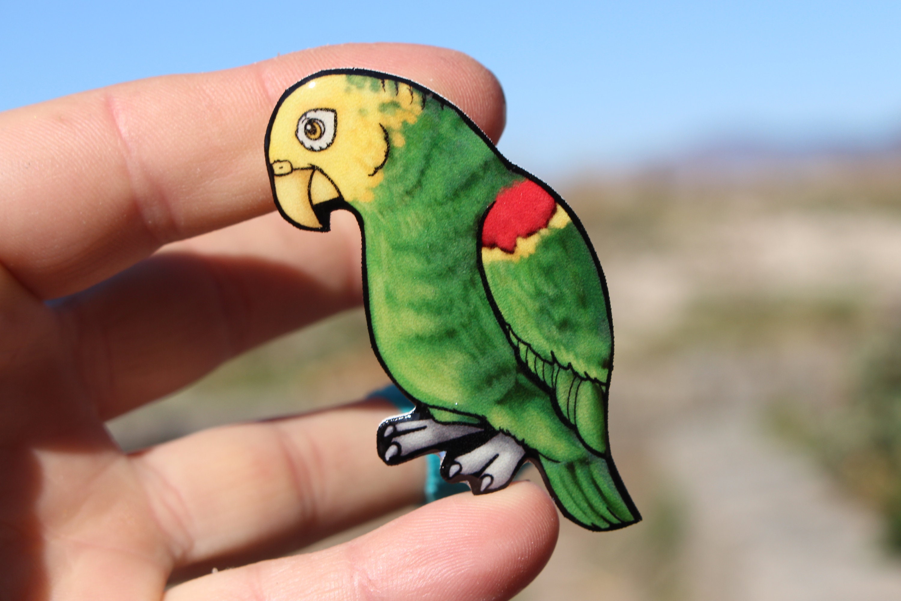 Amazon Parrot Magnet Gift for parrot loverszookeepers vet - Etsy
