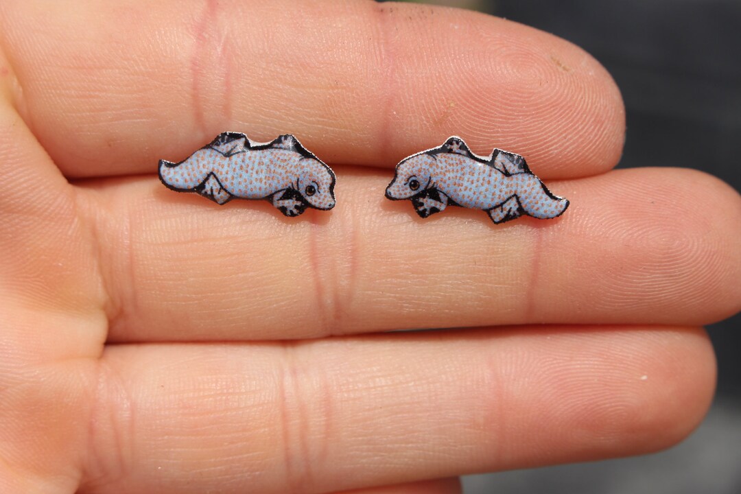 Tokay Gecko Earrings : Stainless Steel Posts for Sensitive Ears Gift ...